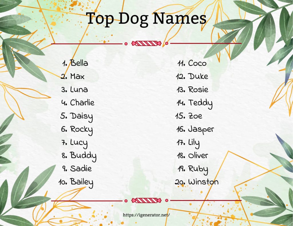 Dog Name Generator 1608 Dogs Name Ideas Dog Name Generator 1608 Dogs Name Ideas